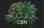 What Is CBN Cannabinoid and Its Benefits